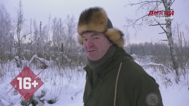 Звероловы. На зимние болота за бобром.