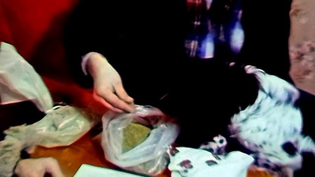 1988 год. Сургут. Вега - милицейская собака