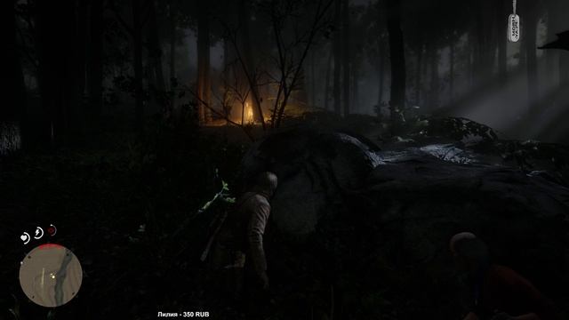 Прохождение Red Dead Redemption 2 часть 14 (Глава 3)