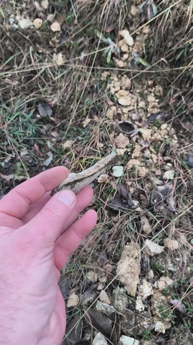 Вопрос самому себе