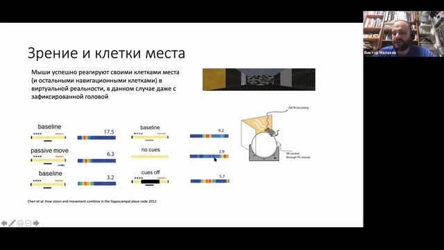 Клетки места place cells – зрительная опора движений