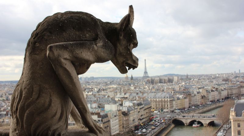 НАСТОЯЩАЯ ИСТОРИЯ КВАЗИМОДО! Шутливый клип моей песни "Драма Нотр - Дама" из "Парижских песенок"