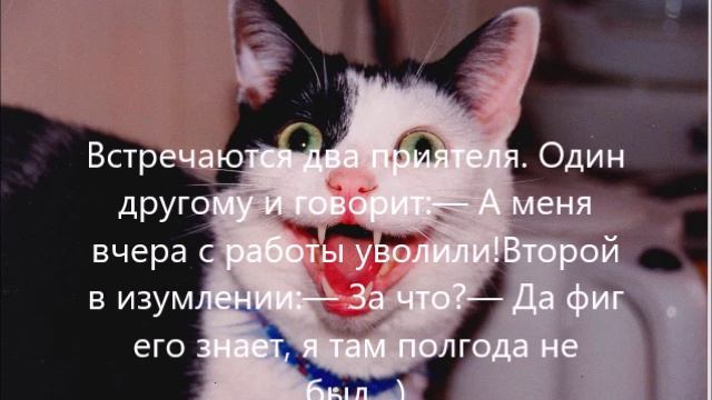 Анекдотцы - 16 🤣