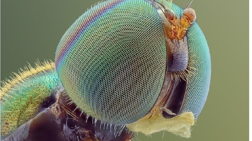 Когнитивистика вместо т.н. философии