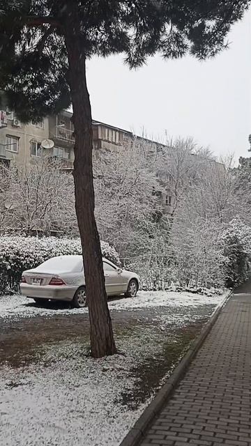 Улица Тодрия и окрестности 11.02.2026 (Рустави, Грузия)