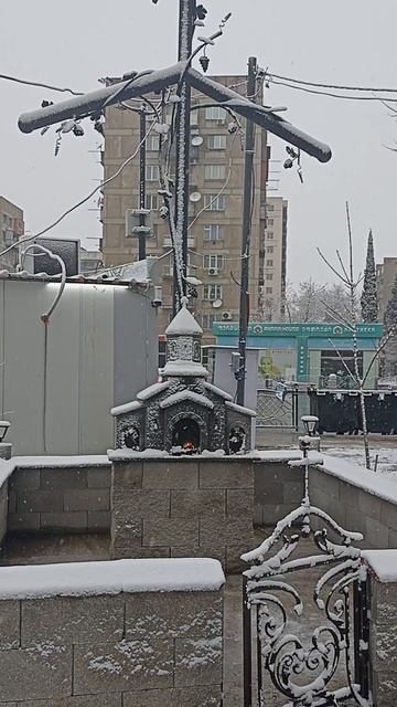 Круг на Тодрия 11.02.2026 (Рустави, Грузия)