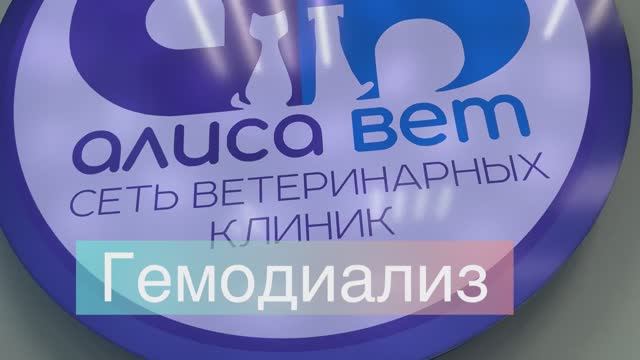 Гемодиализ собакам