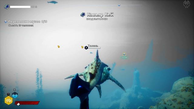 Maneater Прохождение № 33 Всё хорошо что хорошо качается Ненайденное сокровище Переполох в музее Яхт