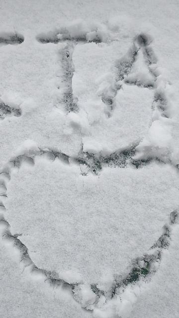 Февраль в Рустави 2026 (Грузия)