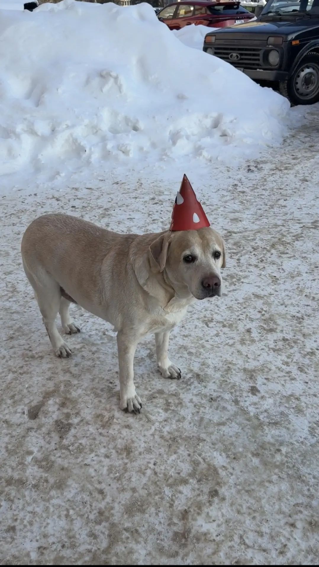 День Рождения Ульзаны и Уланы. anzl.ru