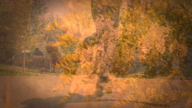 Память и нежность... Новый клип и кавер. Исполняет автор и  группа  "L&M". #музыка #поэзия