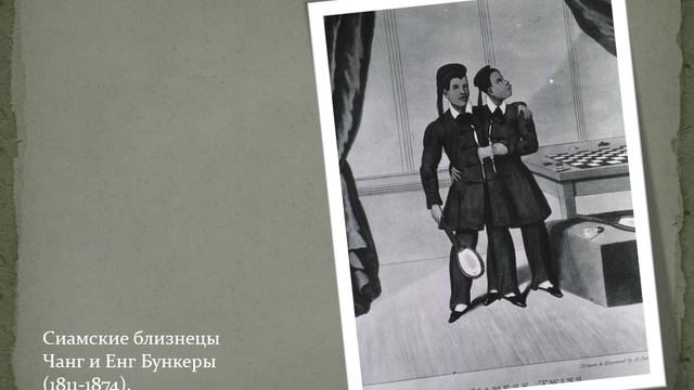 Врачи и художники Возрождения. Часть 2