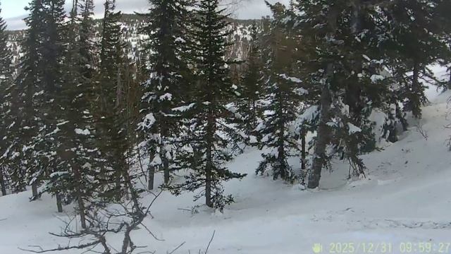 Шерегеш 2026: фрирайд со снегоходами - 3