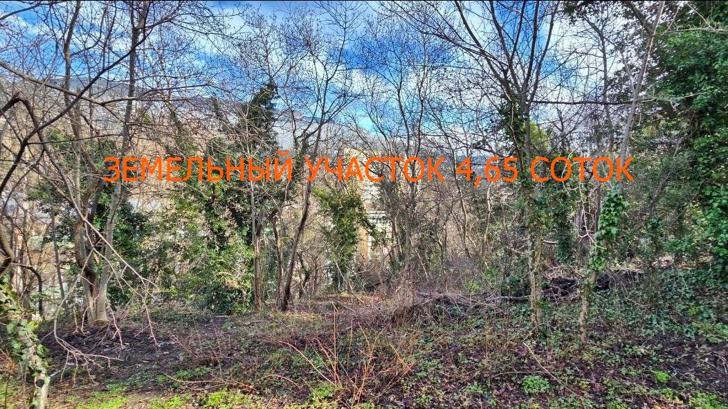 Обзор квартиры на продажу в Гурзуфе, ул. Кривошты