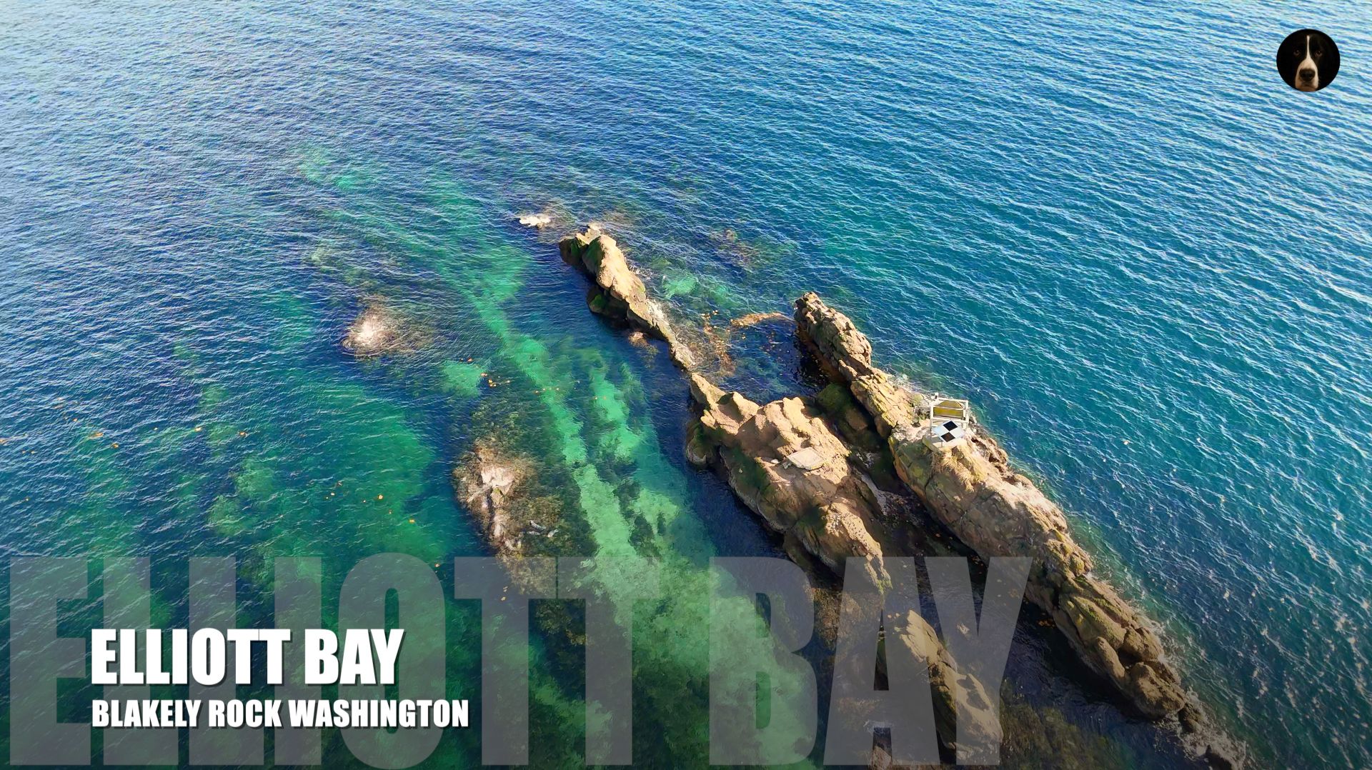 Погружение у Blakely Rock 🤿 | Puget Sound с воздуха и под водой