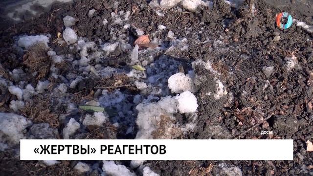 «Жертвы» реагентов