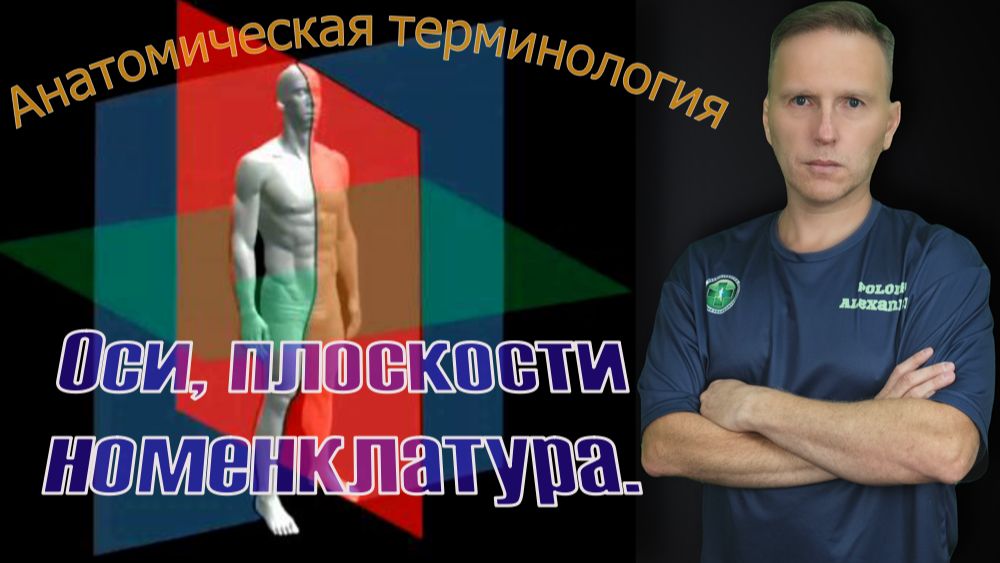Анатомическая терминология - оси, плоскости,номенклатура.