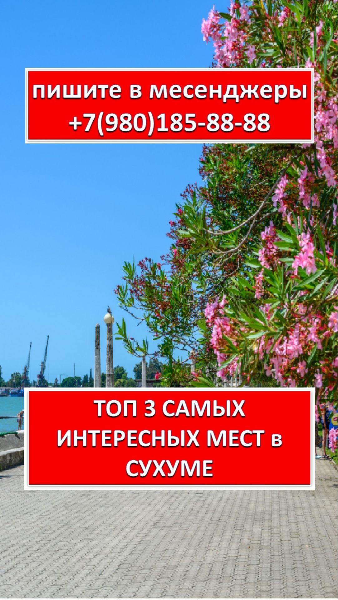 ТОП 3 САМЫХ ИНТЕРЕСНЫХ МЕСТ в СУХУМЕ