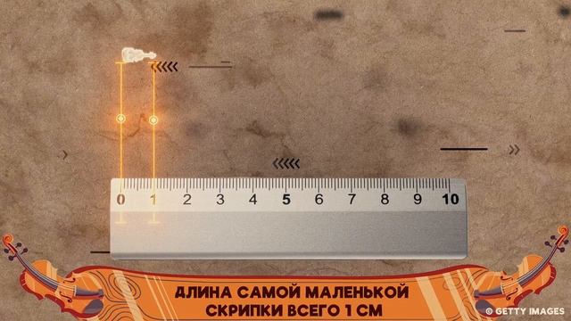 Скрипка. Топ фактов. Автор видео: НЬЮМ ТАСС