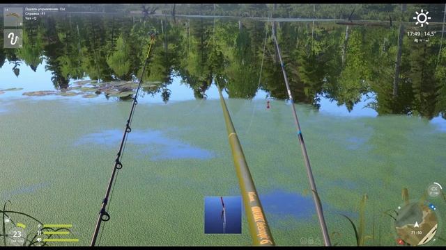 #91 НА ОСТРОГЕ ПЛОТВА  ▶ Русская рыбалка 4