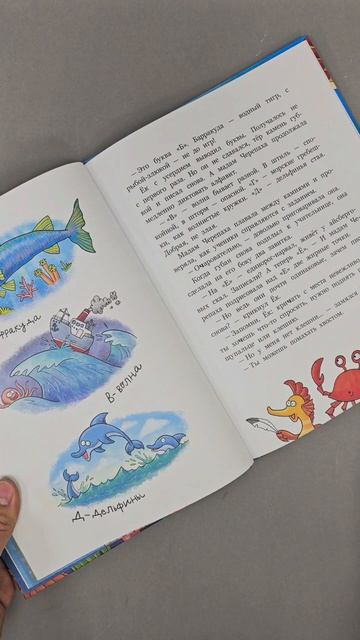 Морской конёк по имени Ёк