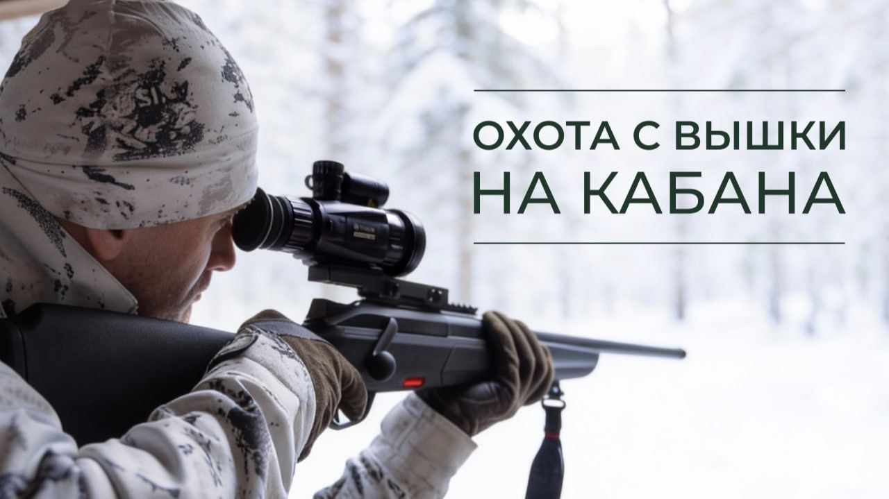 Охота на кабана с вышки