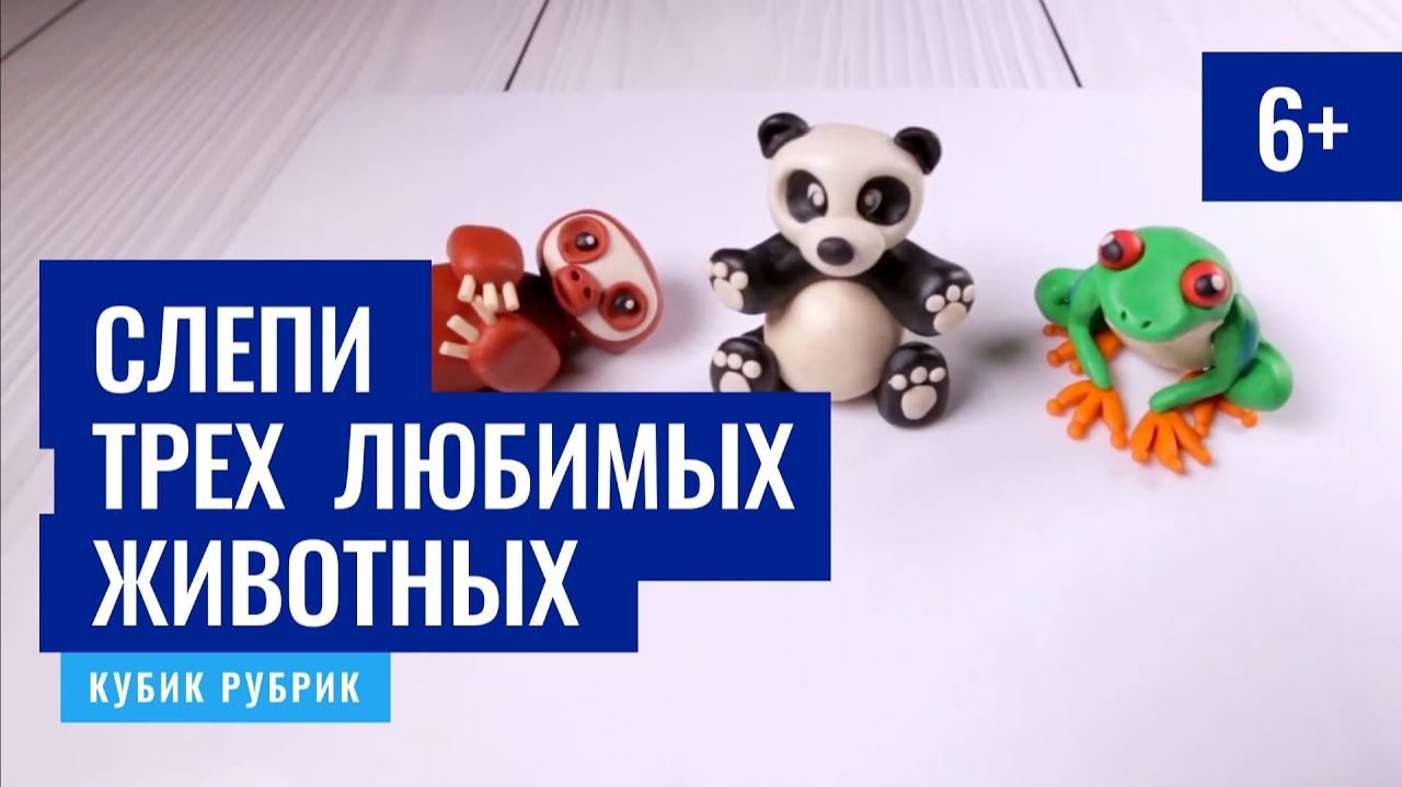 Сюрприз - слепим трех любимых животных. Кубик Рубрик (6+)
