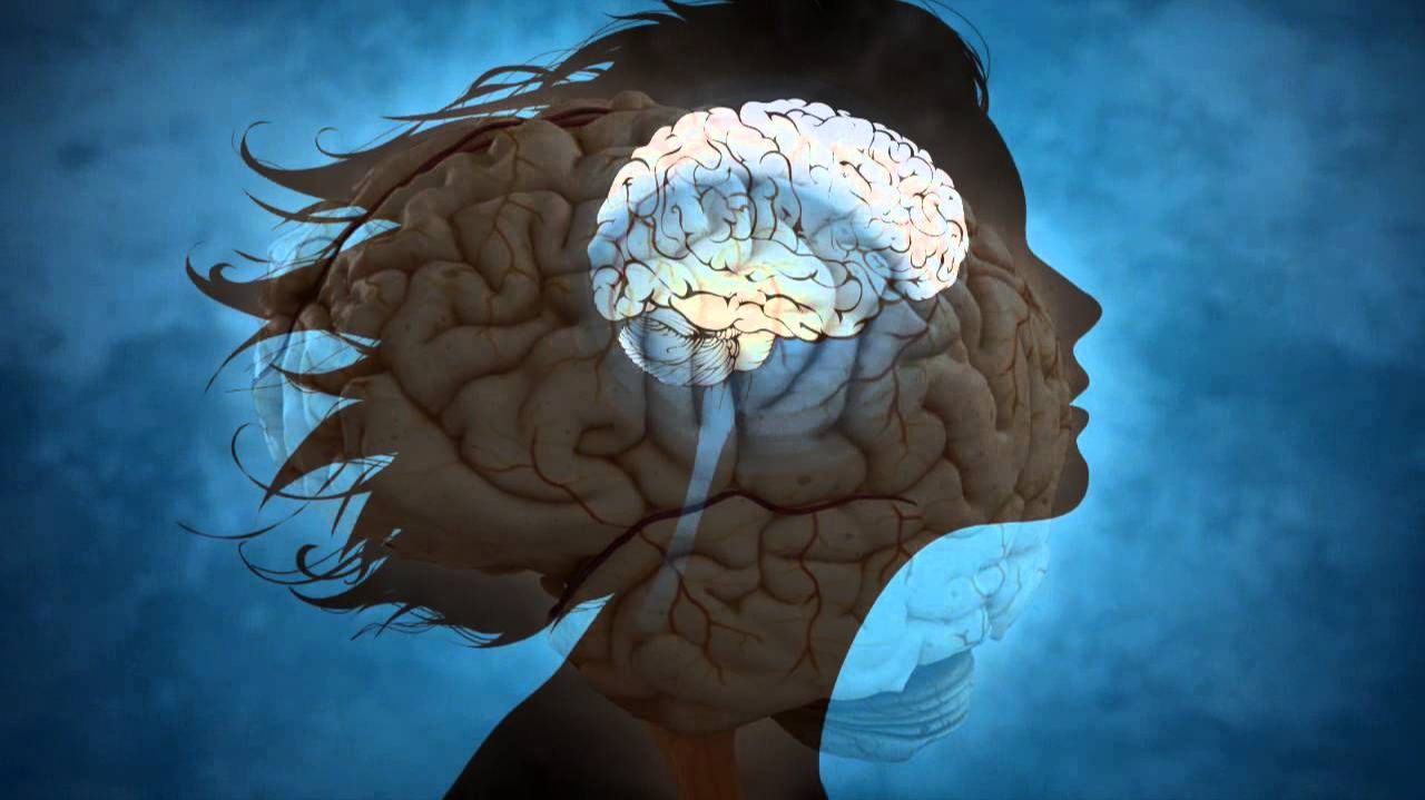 Удивительные факты о человеческом организме: от второго мозга до слепого пятна.