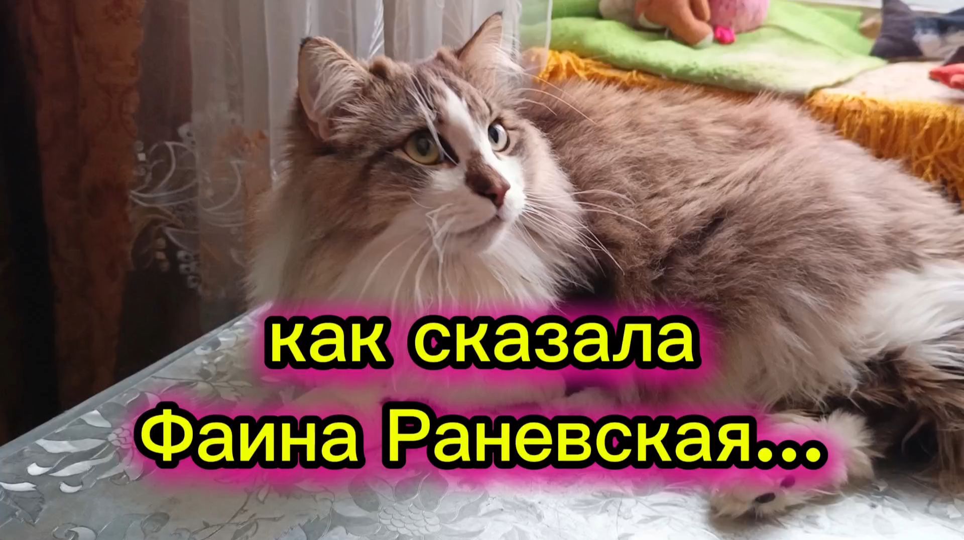 КОШКИ С ОЗВУЧКОЙ.