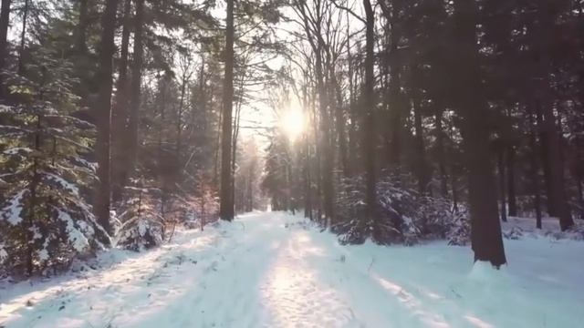 Лучшие песни иеромонаха Романа.