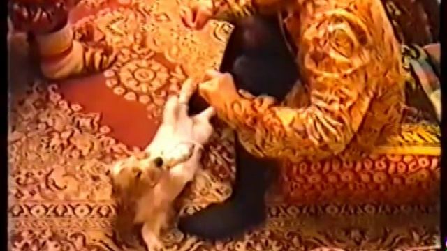 Жили были мы. Катя, мама с соседской собачкой. В лесу у делева Катя позирует.