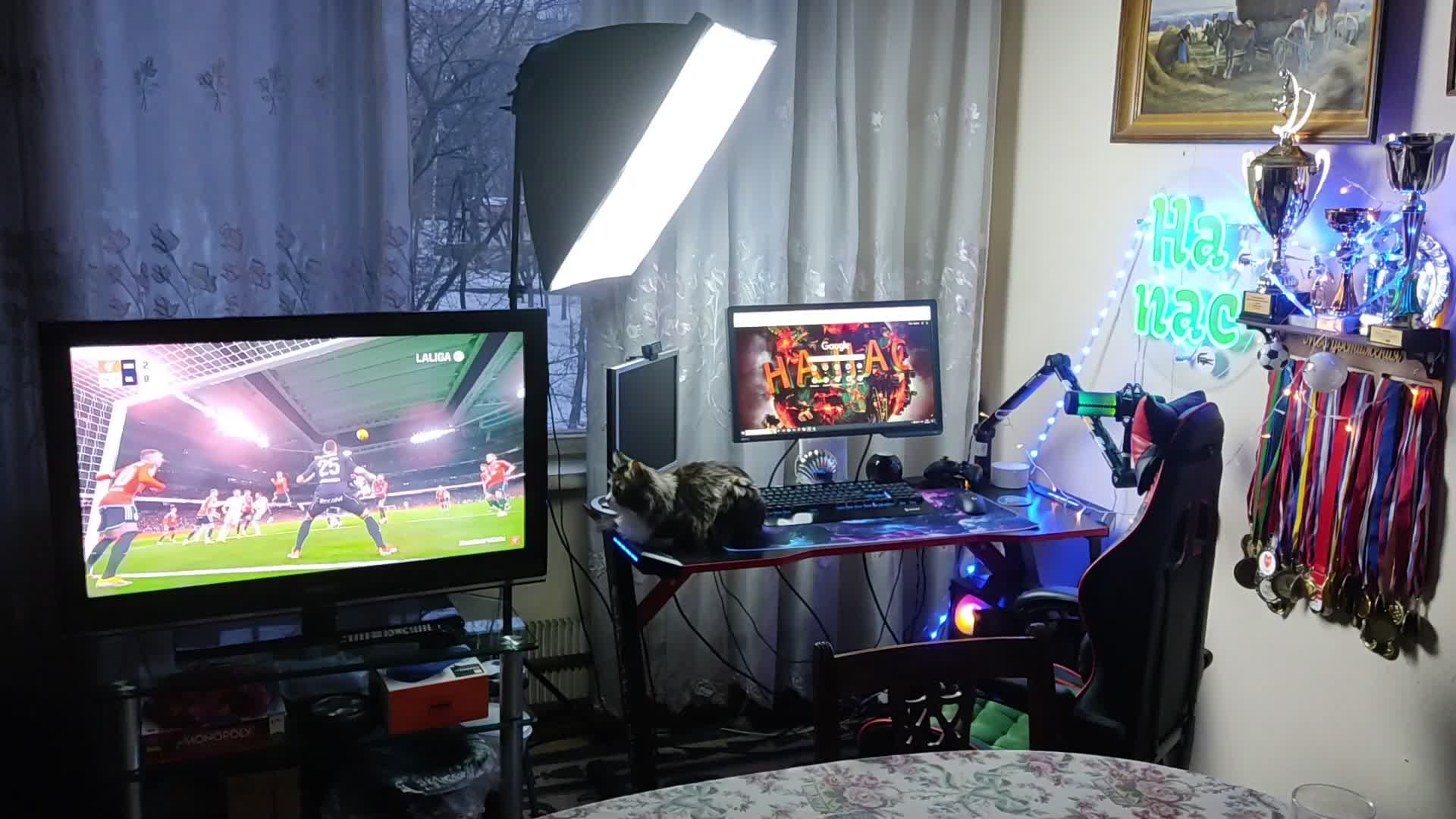 День волшебных сказок на ночь