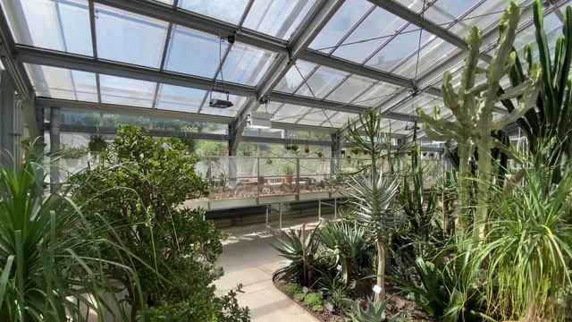 В Ботаническом саду Университета Юстуса Либиха в Гиссене