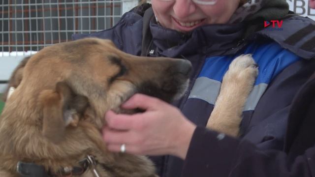 Губернские новости. 11.02.2026