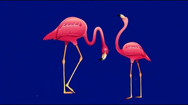 Фламинго 05_encoded