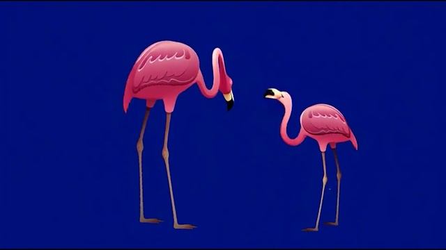 Фламинго 03_encoded