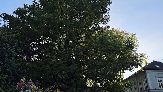 Спасское кладбище - Vår Frelsers gravlund, (Осло, Норвегия)