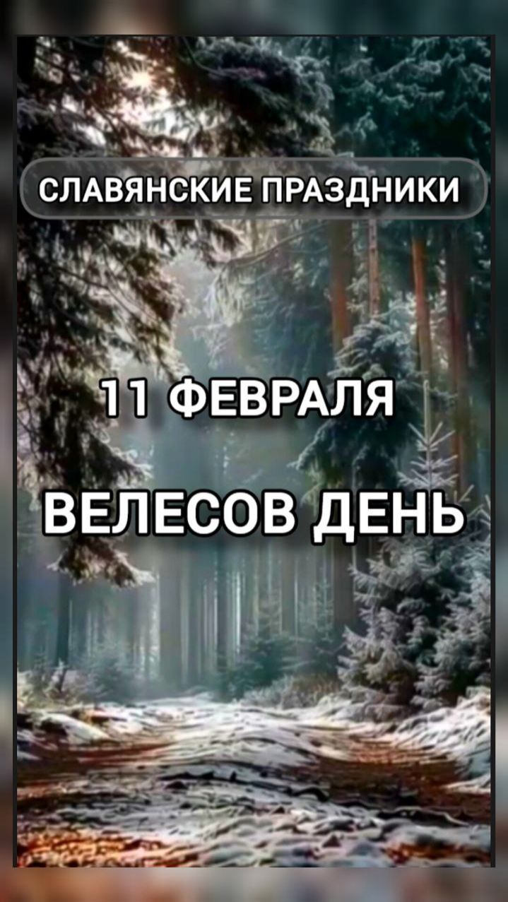 11 февраля ВЕЛЕСОВ ДЕНЬ, перелом Зимы. Славянские традиции. Авторский проект. #ВелесБог #ВелесДень