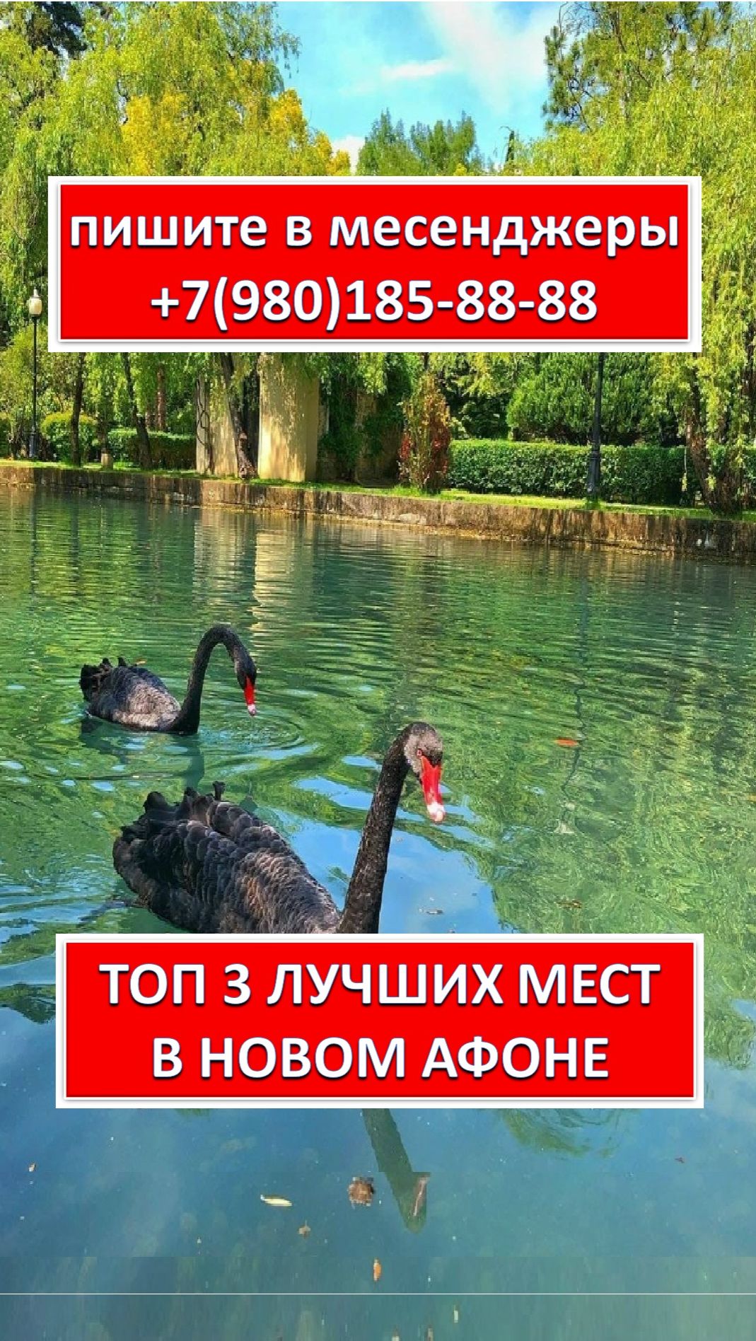 ТОП 3 ЛУЧШИХ МЕСТ в НОВОМ АФОНЕ