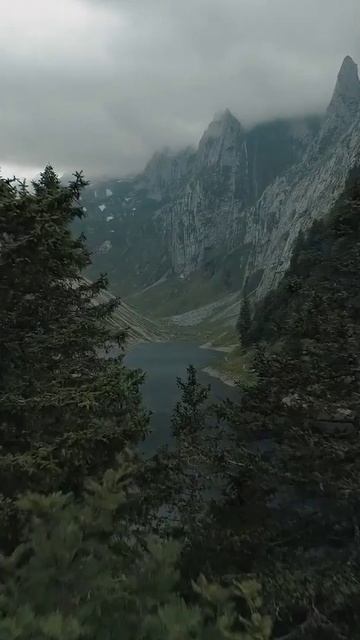 Музыкальность #shorts #ehomusic #музыкальность #improvisation  #music