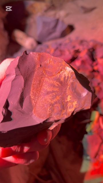 Зимнее солнце Аркаима день второй