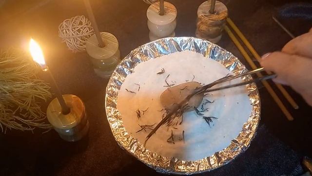 ЧИСТКА ОТ ЛЯРВЫ. СПИНАГРЫЗКИ.