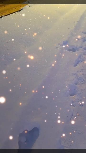 Зимнее серебро