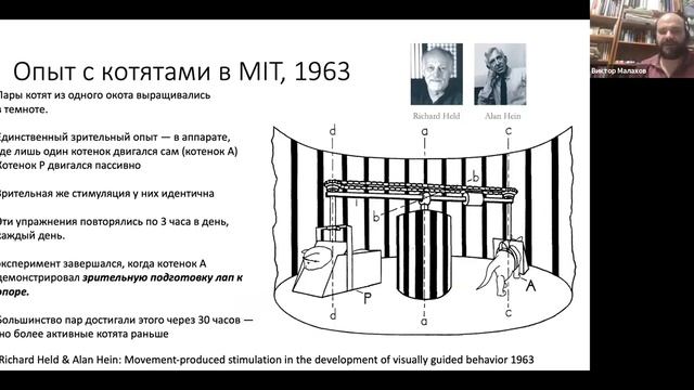 Оптический поток - Зрительная опора в движении / Кружок сумасшедших
