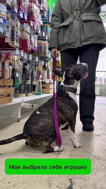 Красотка Мая выбрала себе новую игрушку