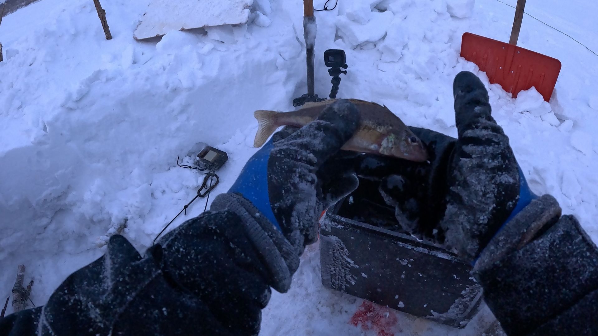 Кто клюнул на огромного ерша | Перемет на налима | Проверка 10.02.2026