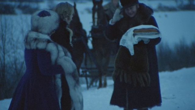 Несколько дней из жизни И.И. Обломова   1980