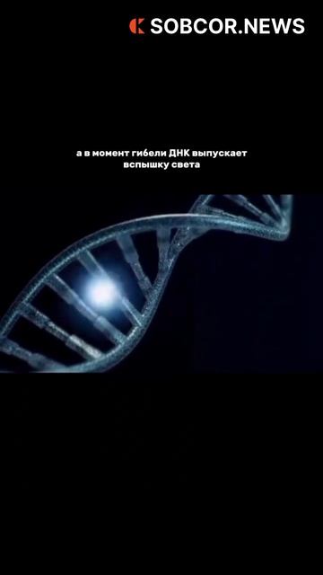 Вот что значит «по своему образу и подобию»