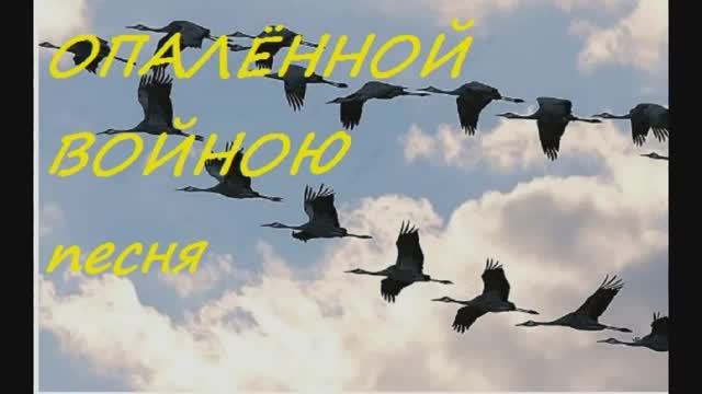 ОПАЛЁННОЙ ВОЙНОЮ (песня)