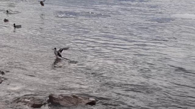 11 фев 2026 _ +4   Мои  поездки